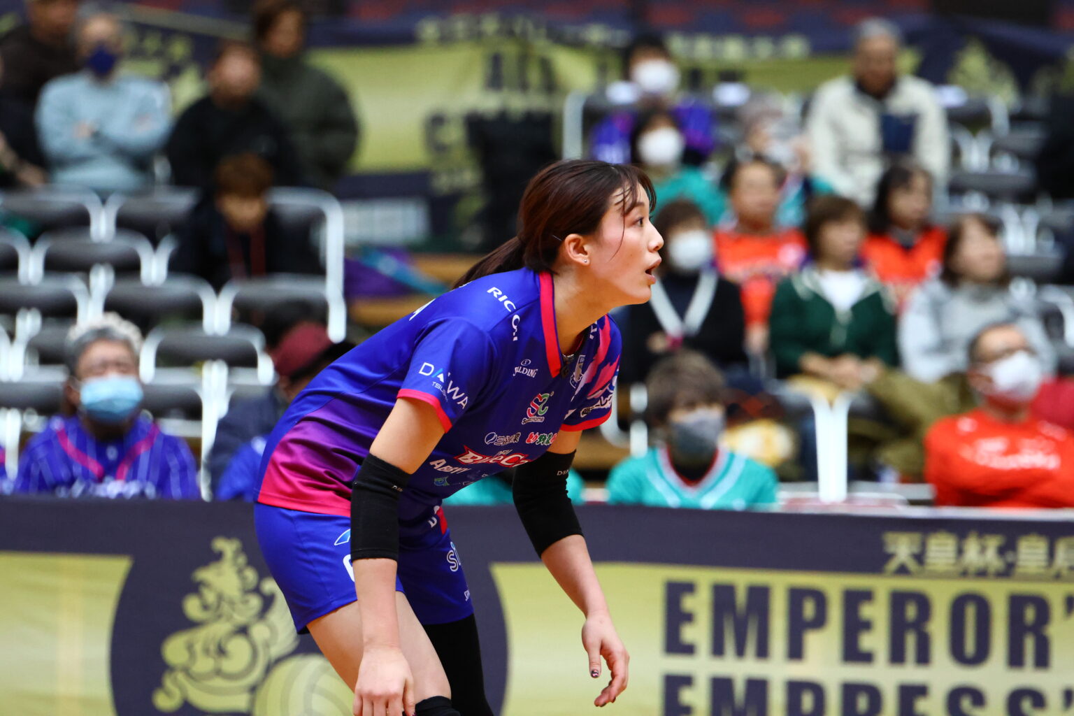 PFUが2025-26シーズンの新体制を発表！ MB細沼綾が主将を続投 | バレーボールキング